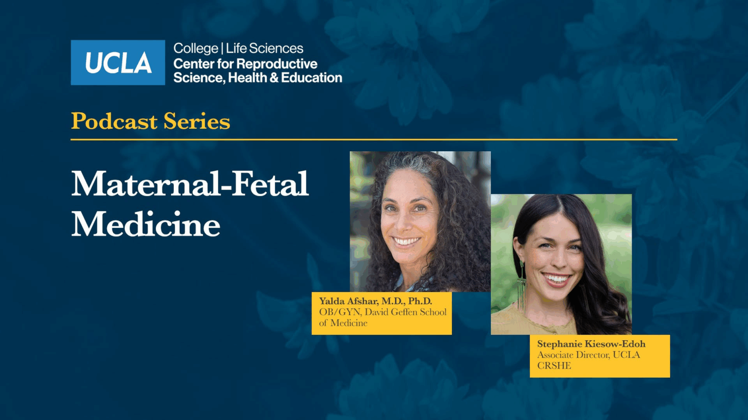 Dr. Yalda Afshar: Maternal-Fetal Medicine – Center for Reproductive ...